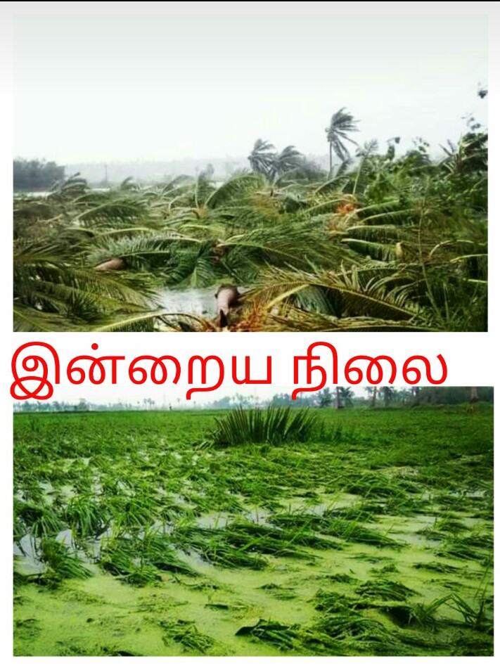 சான் ஆண்டோனியோ தமிழ்ச் சங்கம் - San Antonio Tamil Sangam